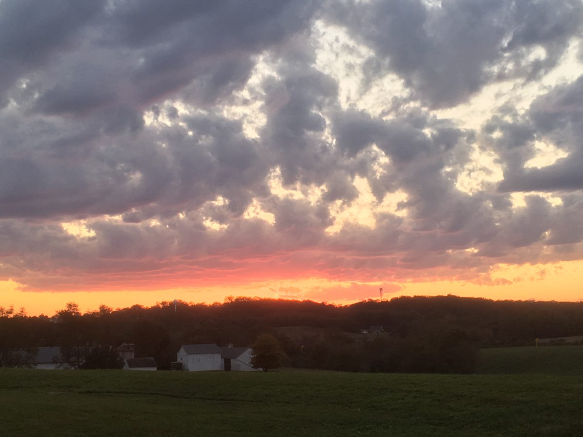 1AFD2B41-3BB1-4188-B73A-307794B2385B | Krista Griffith for Delaware